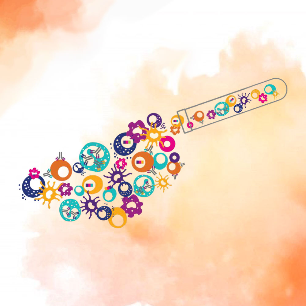 Human Maxpar Direct Immune Profiling System | Standard BioTools